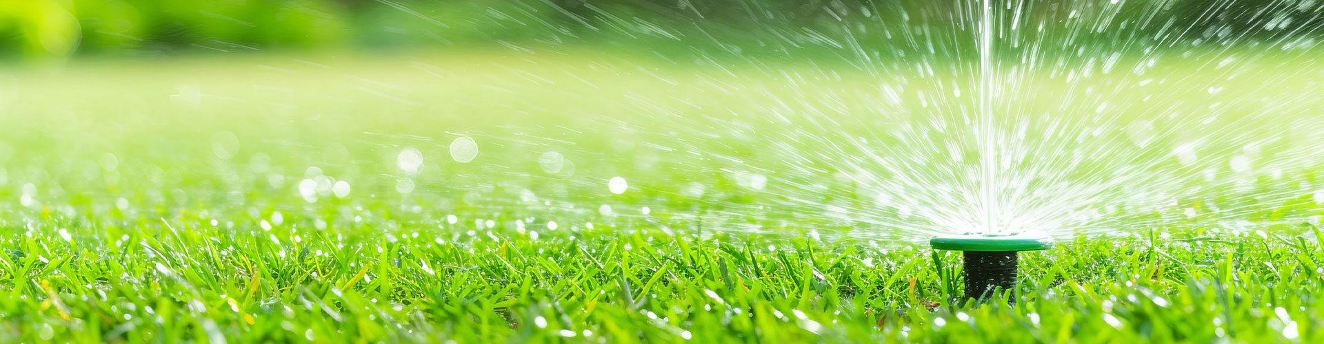 Lawn Spraying & Herbicide Services in Concord, NC | Wilson Turf and ...